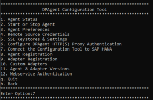 Data Provisioning Agent für SAP Datasphere einrichten – Denis Reis
